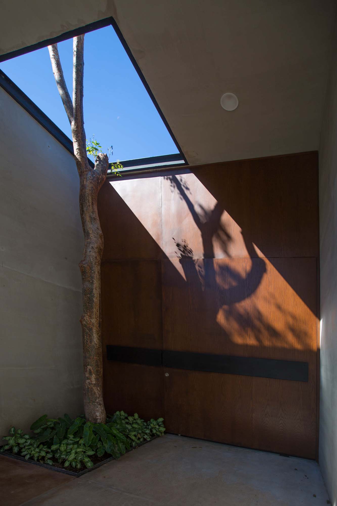 PM House - Architect Magazine