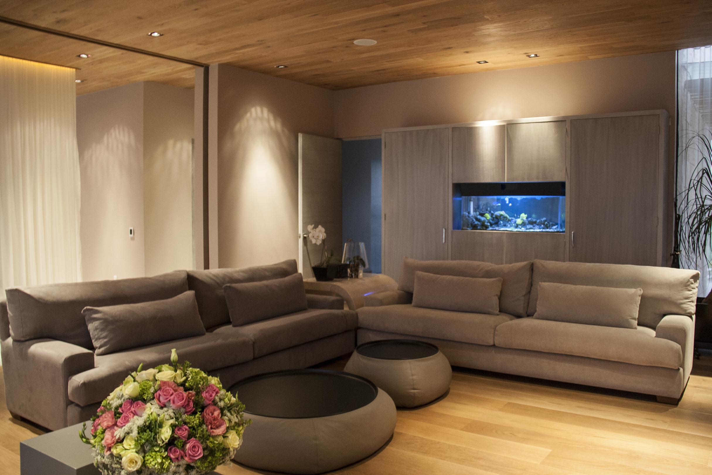 SS House - Architect Magazine