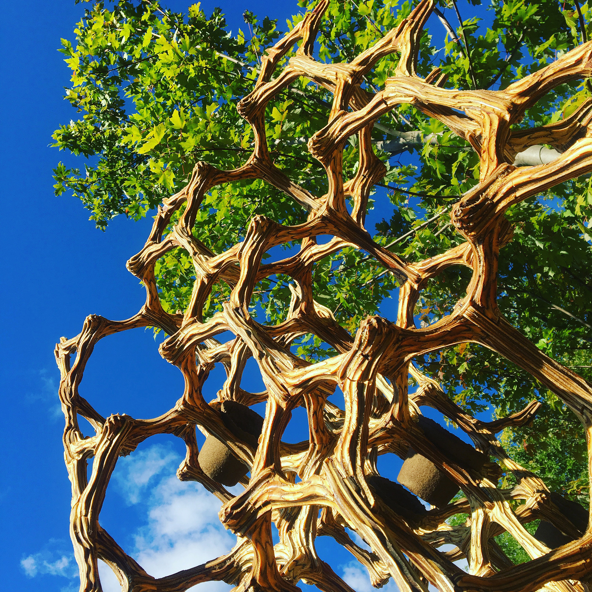 Primitive Hut - Architect Magazine