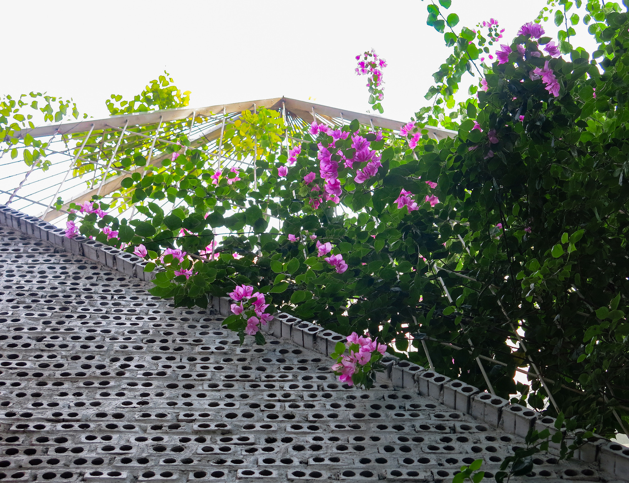 DAD house - Architect Magazine
