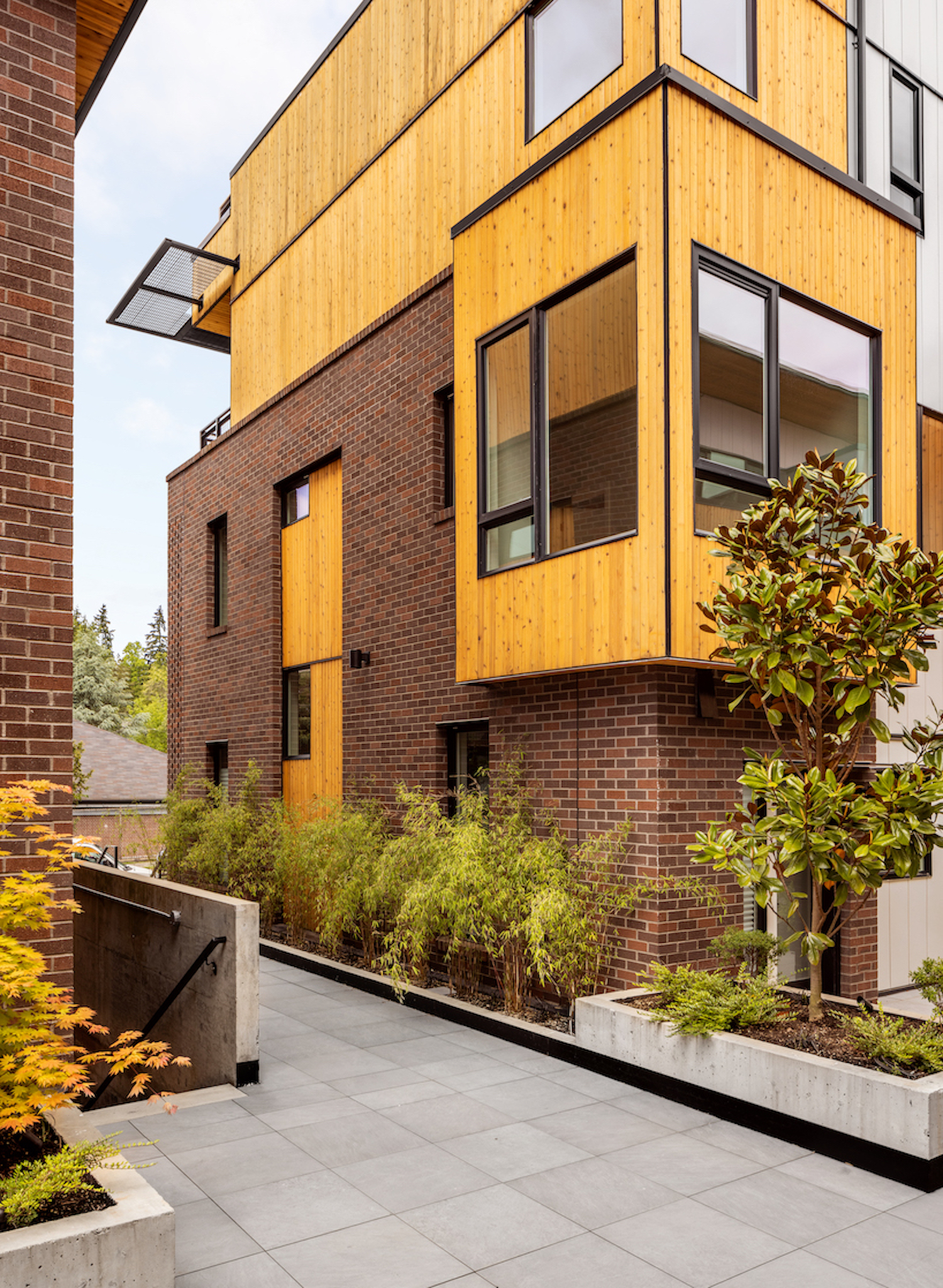 Winston Townhomes - Architect Magazine