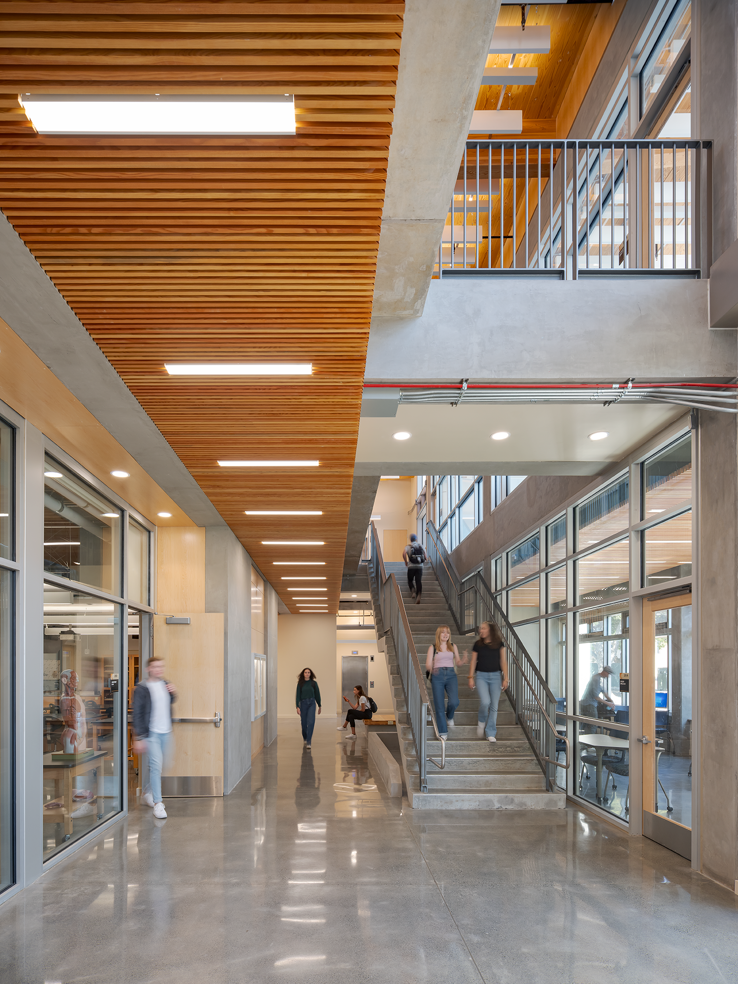 Biological Sciences Building - Architect Magazine