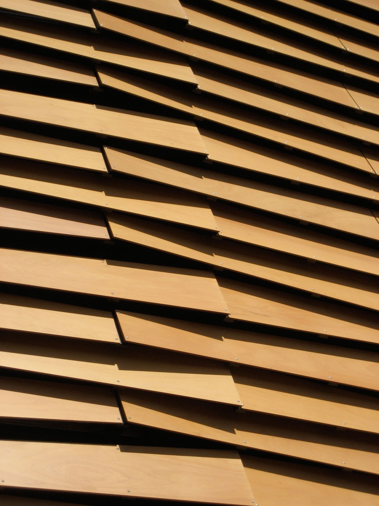 Community Rowing Boathouse - Architect Magazine