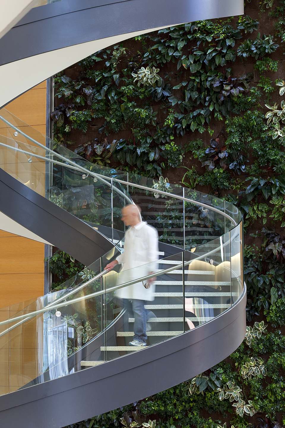 Papadakis Integrated Sciences Building - Architect Magazine