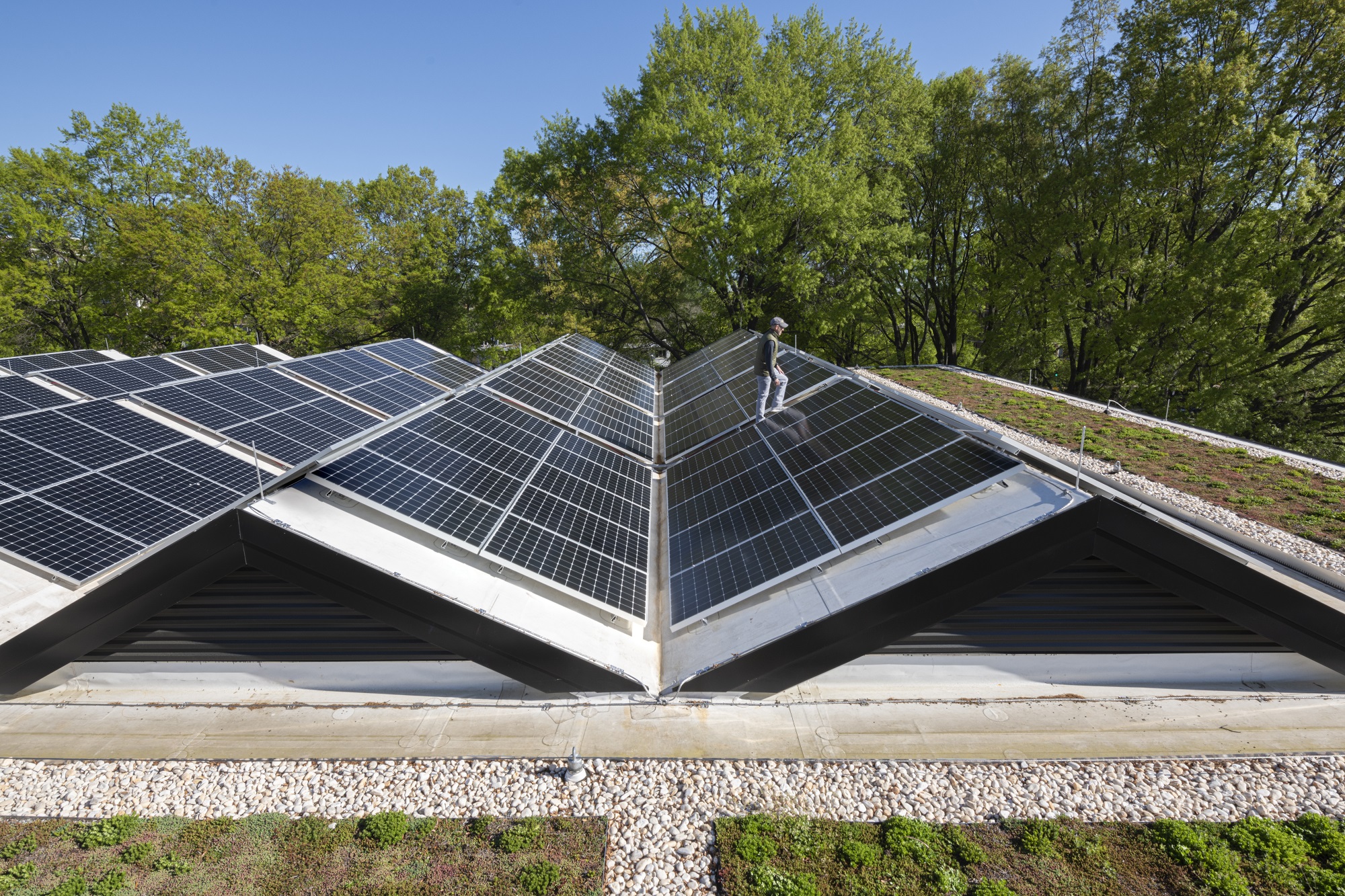 Southwest Public Library - Architect Magazine