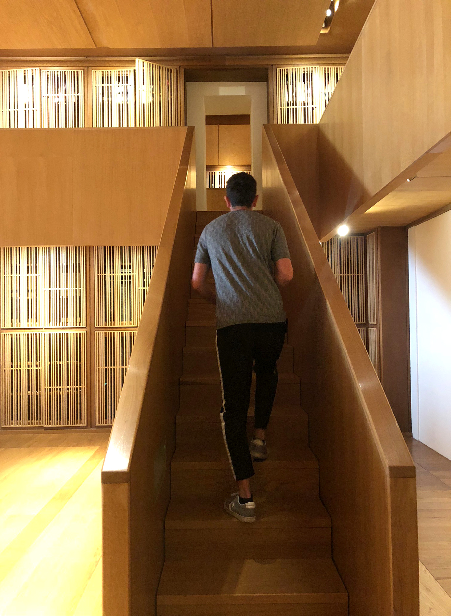 A Graphic Cocoon: Renovations to Florence’s Uffizi Gallery Show Layers ...