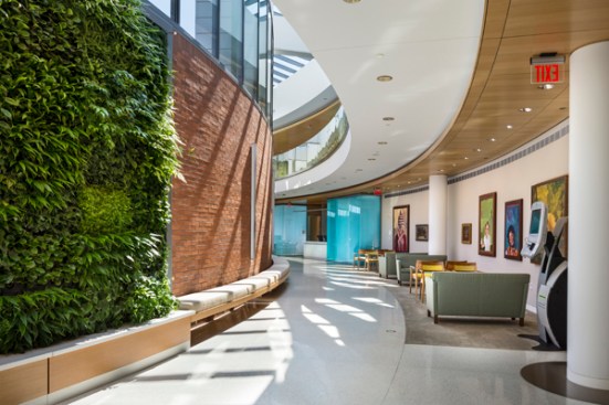 Ann B. Barshinger Cancer Institute - Architect Magazine