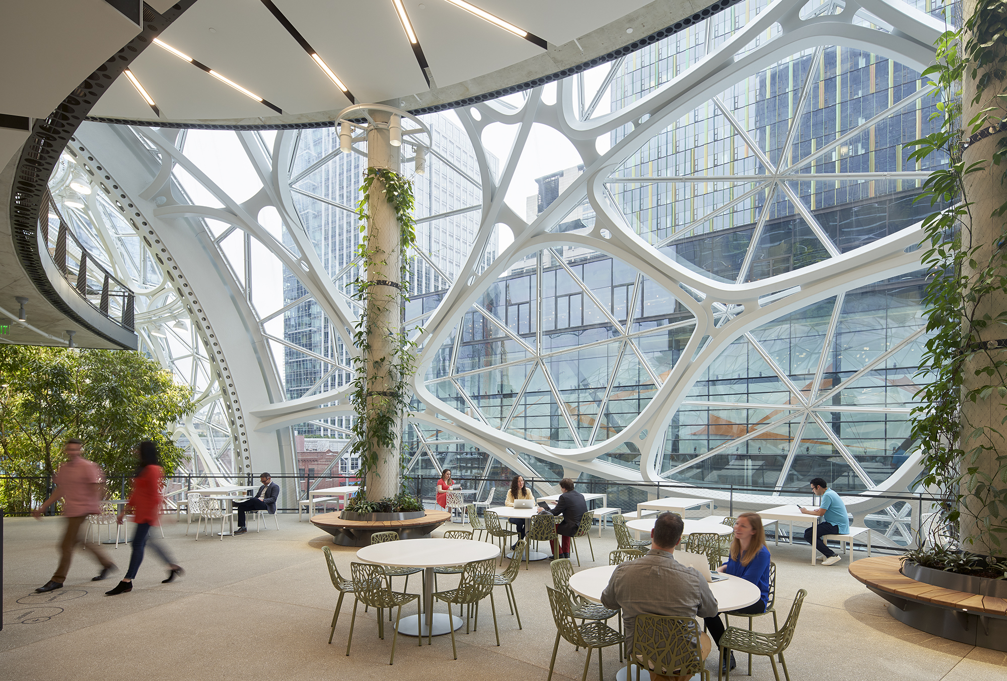 Amazon’s Seattle Spheres and the Evolution of the Architectural Biosphere