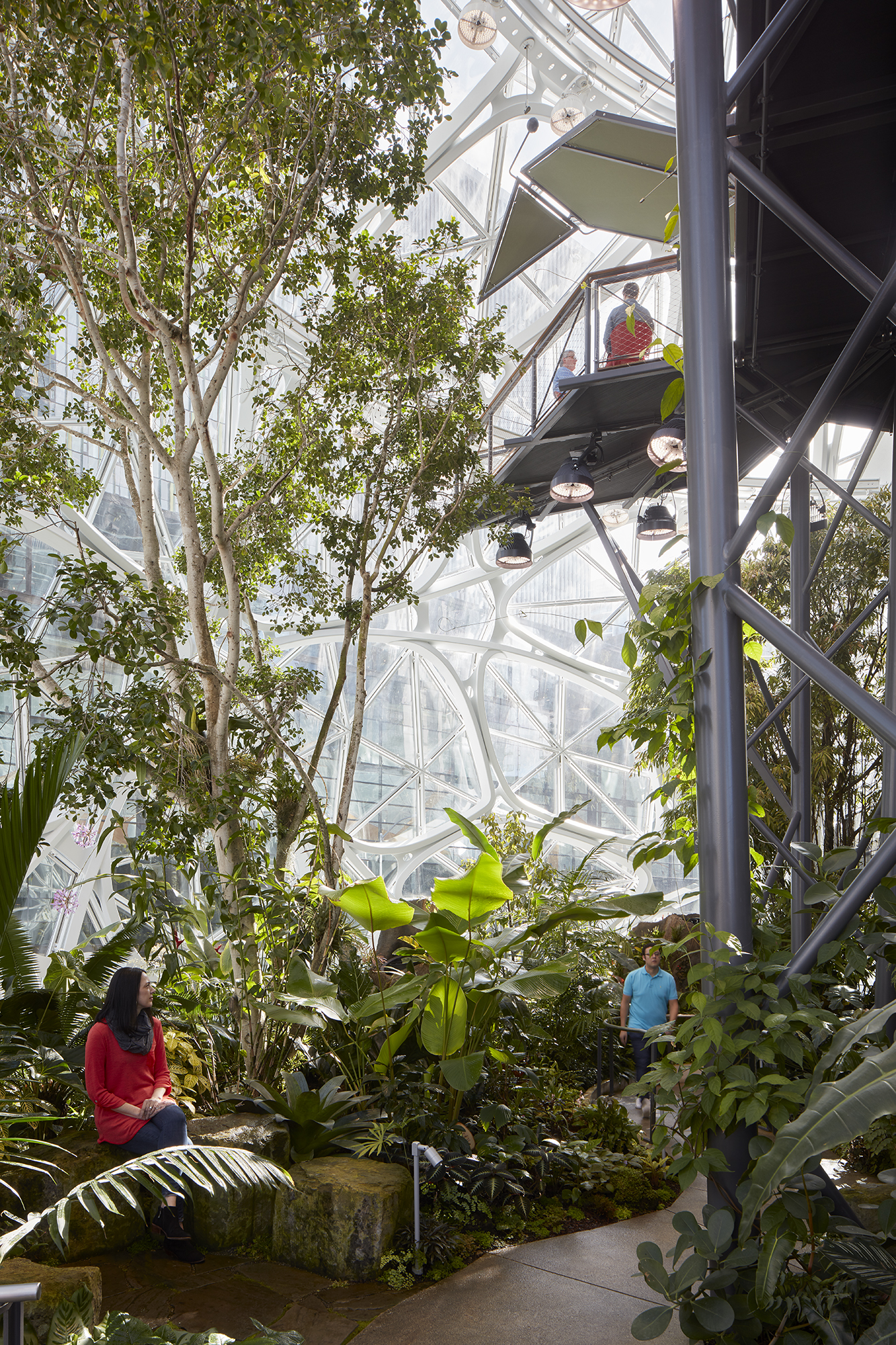 Amazon’s Seattle Spheres and the Evolution of the Architectural Biosphere