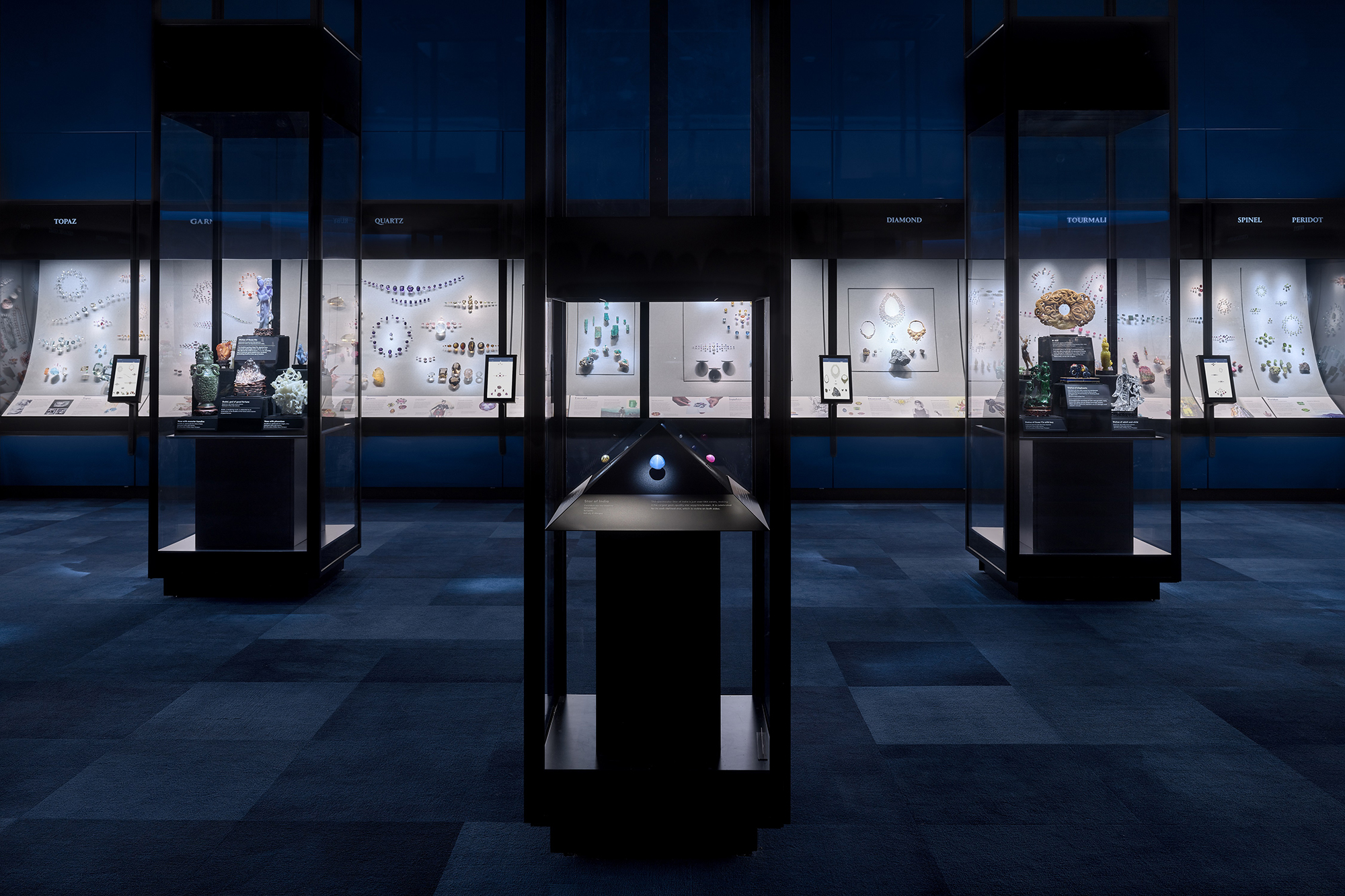 American Museum of Natural History, Allison and Roberto Mignone Halls ...