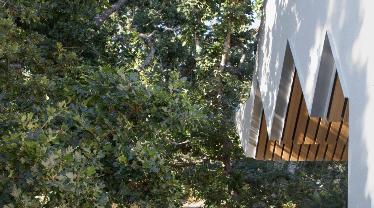 Arbour House - Architect Magazine