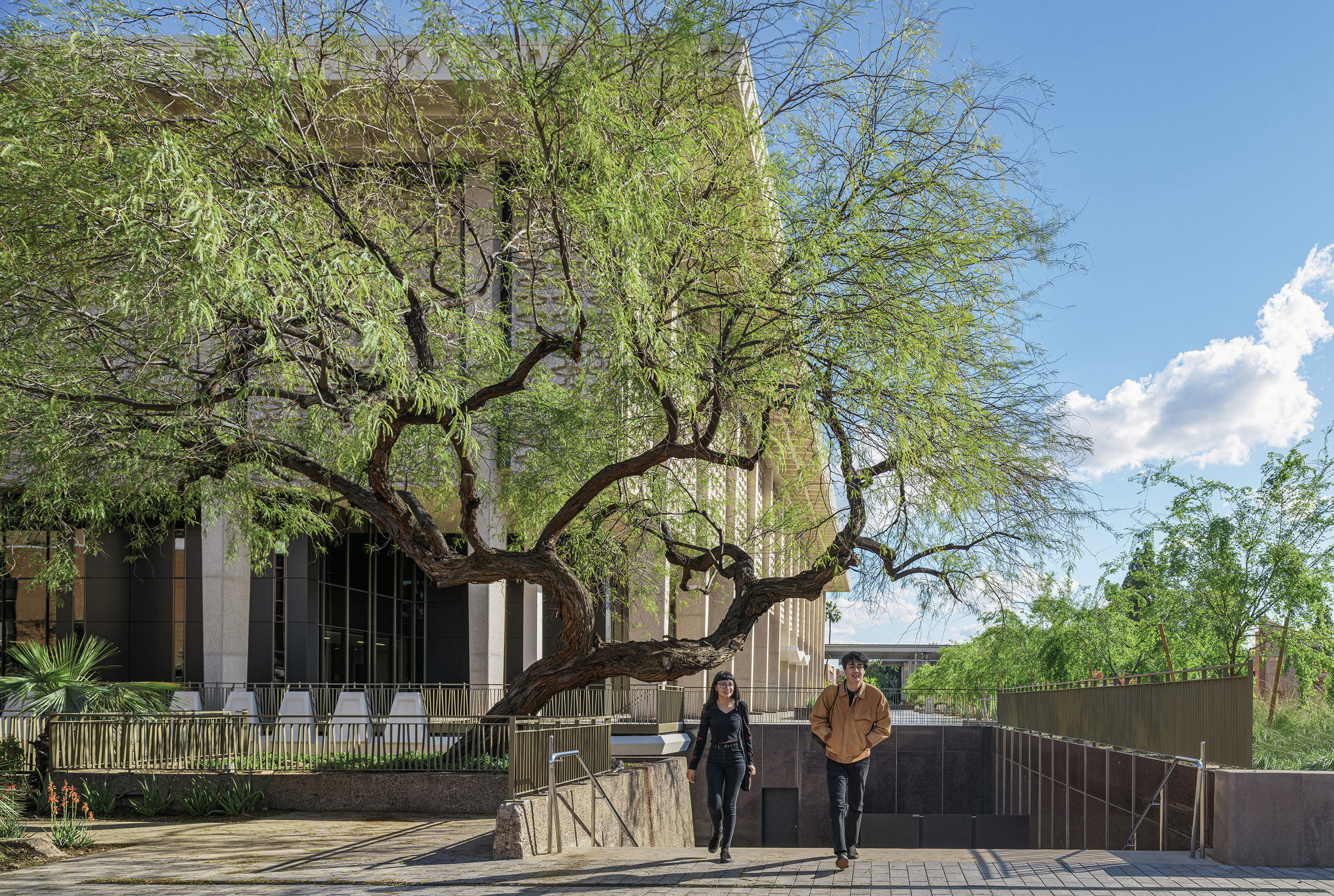 Arizona State University Hayden Library Reinvention - Architect Magazine