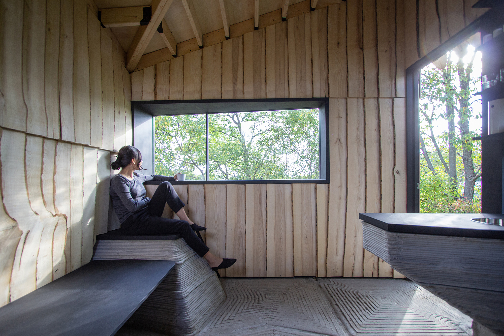 Ashen Cabin - Architect Magazine