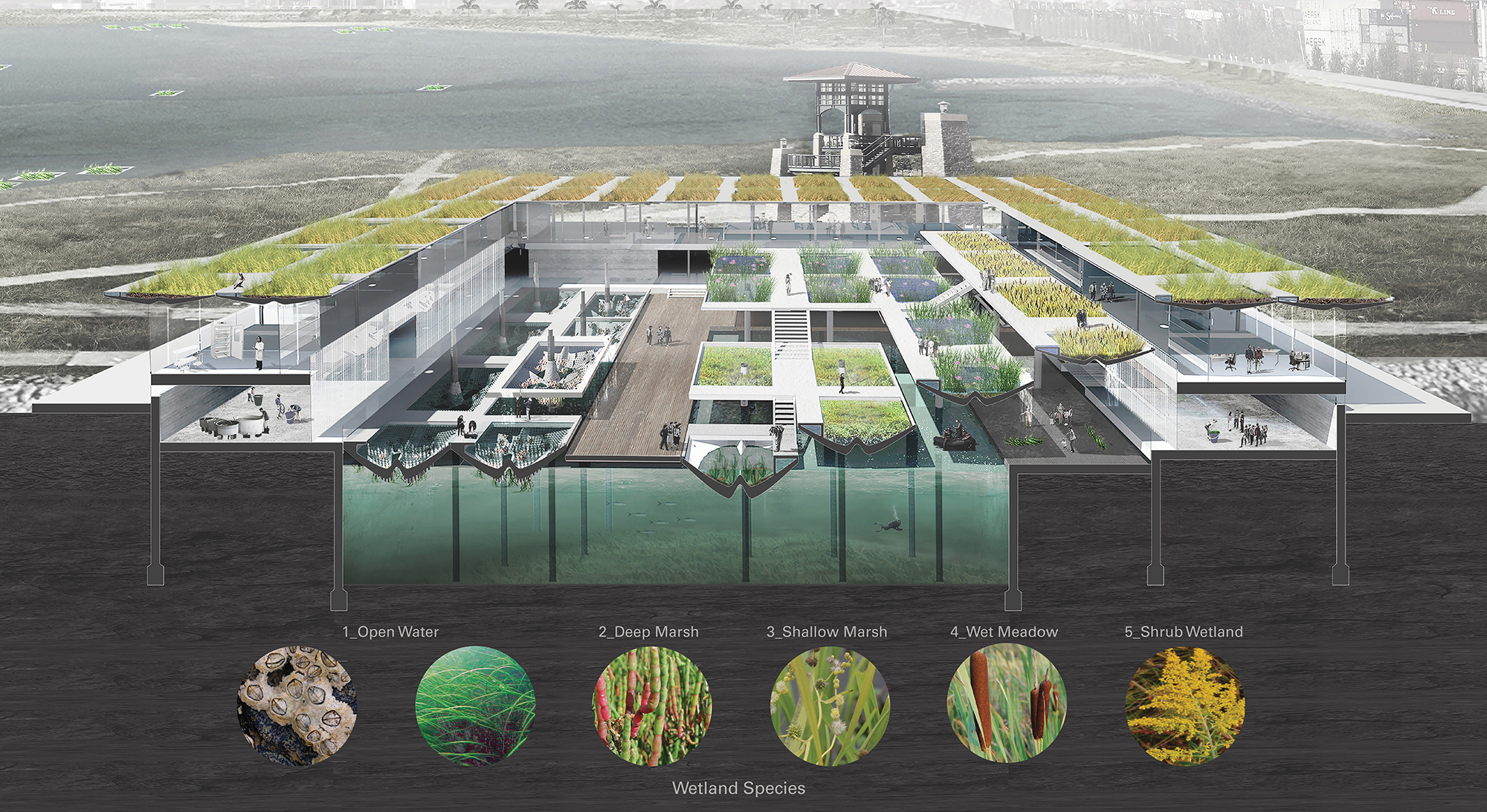 Augmented Tides - Architect Magazine