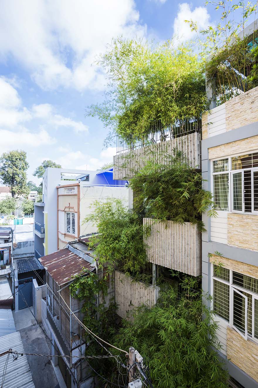 Bamboo House - Architect Magazine