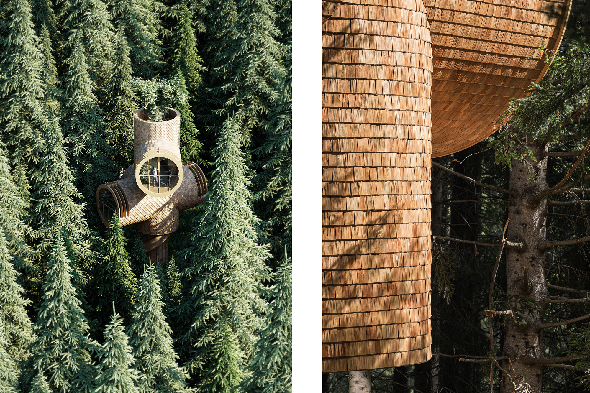 Bert - Architect Magazine