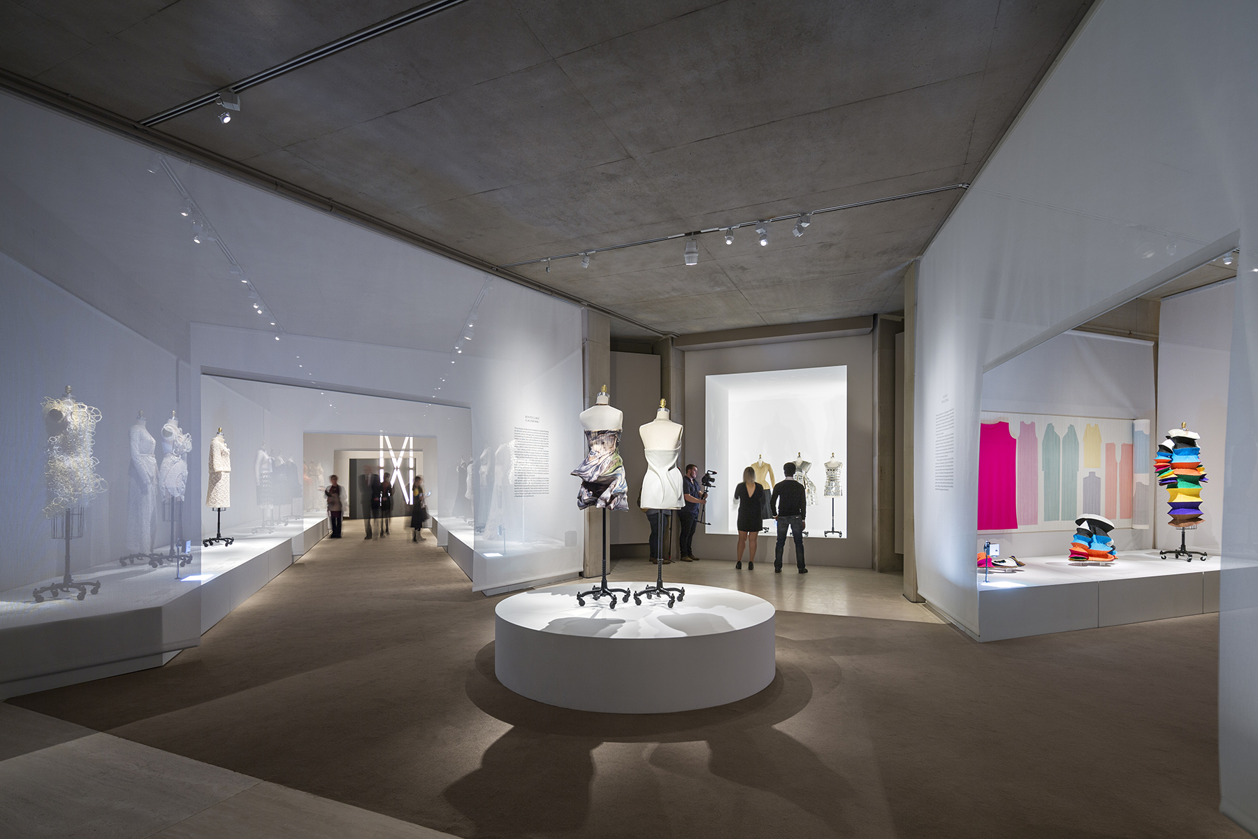 Roots of Blobism: Three New York Exhibitions