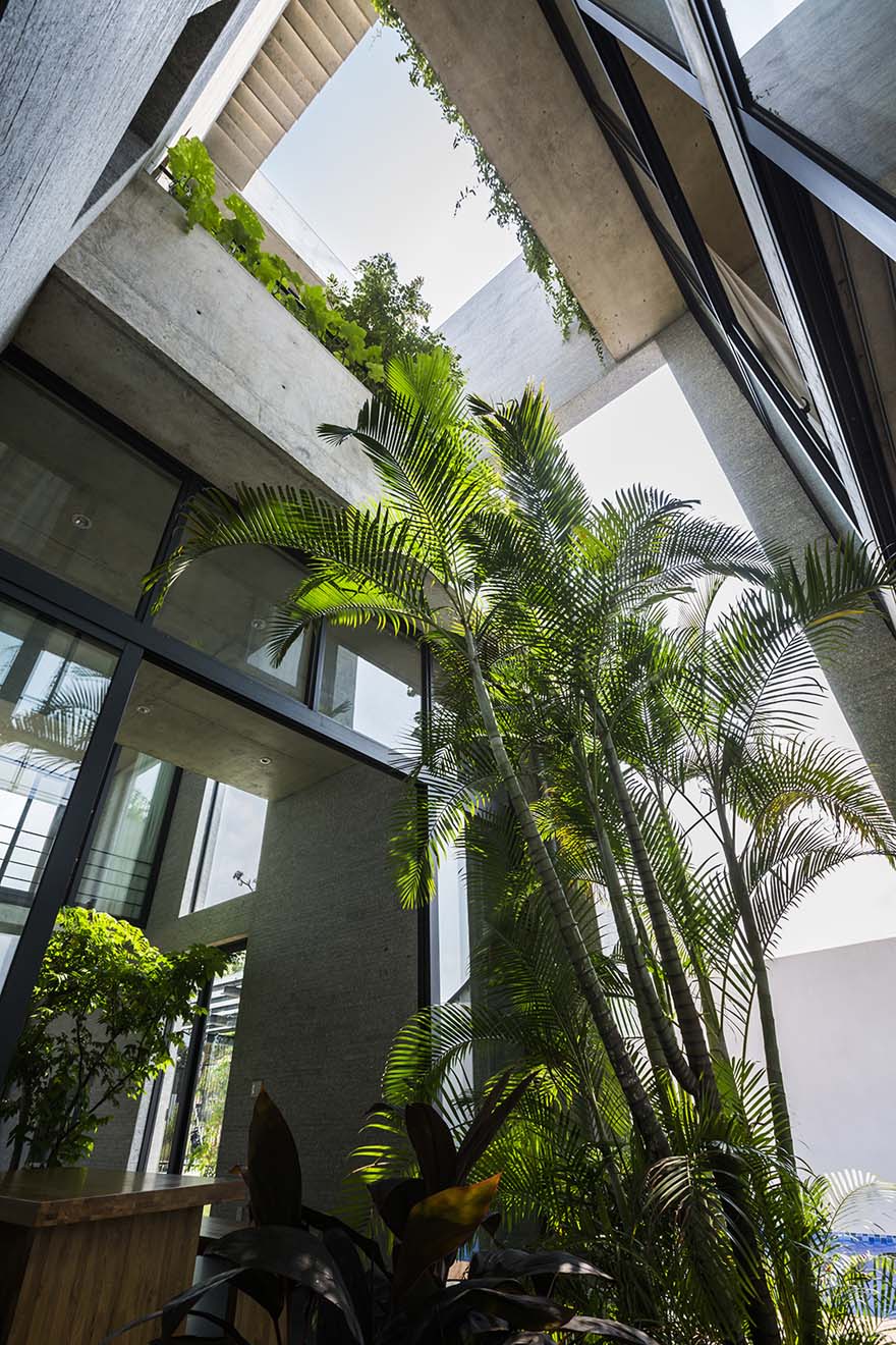 Binh House - Architect Magazine