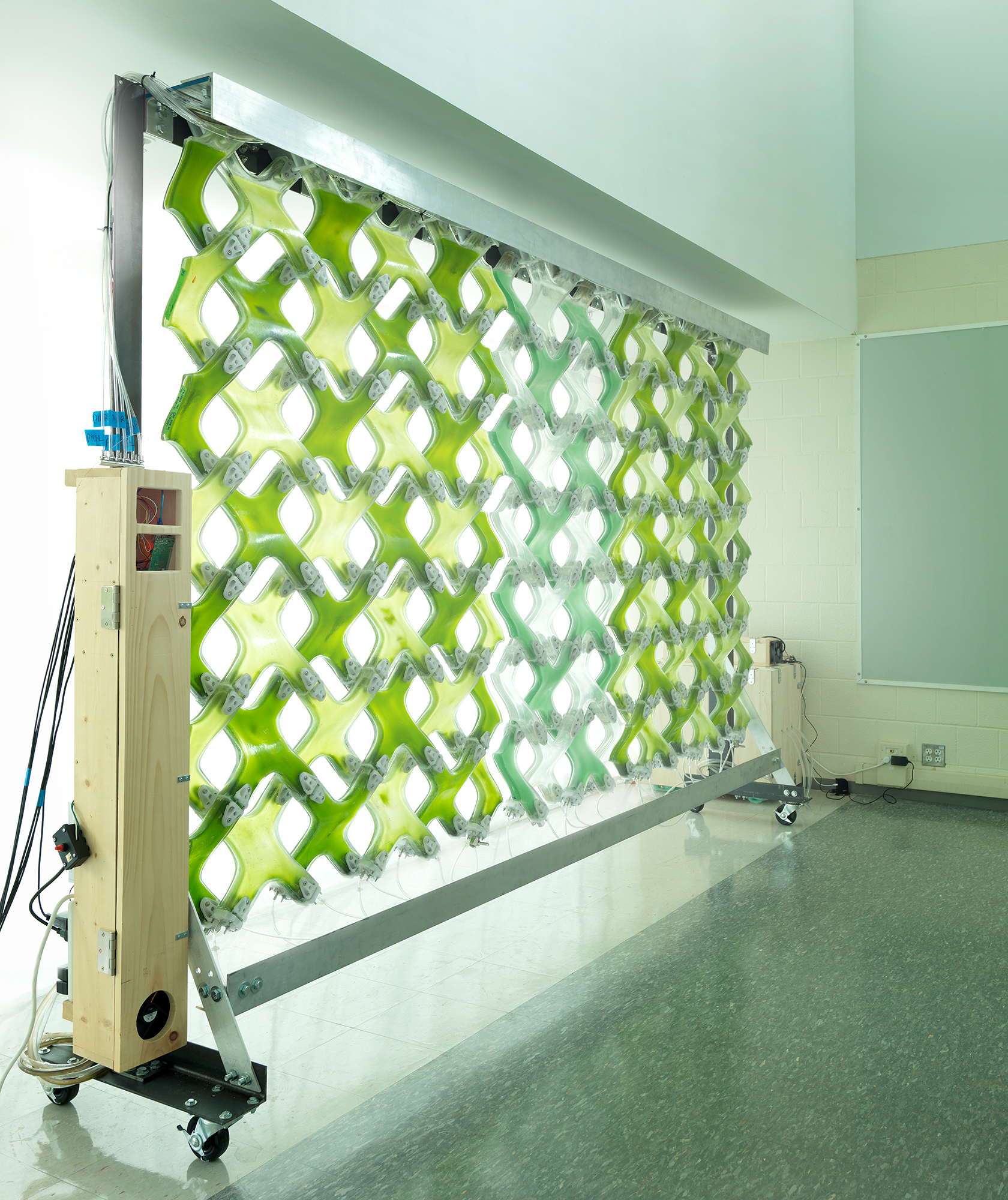 Award: Toward Carbon Neutrality—High-Performance Biochromic Window