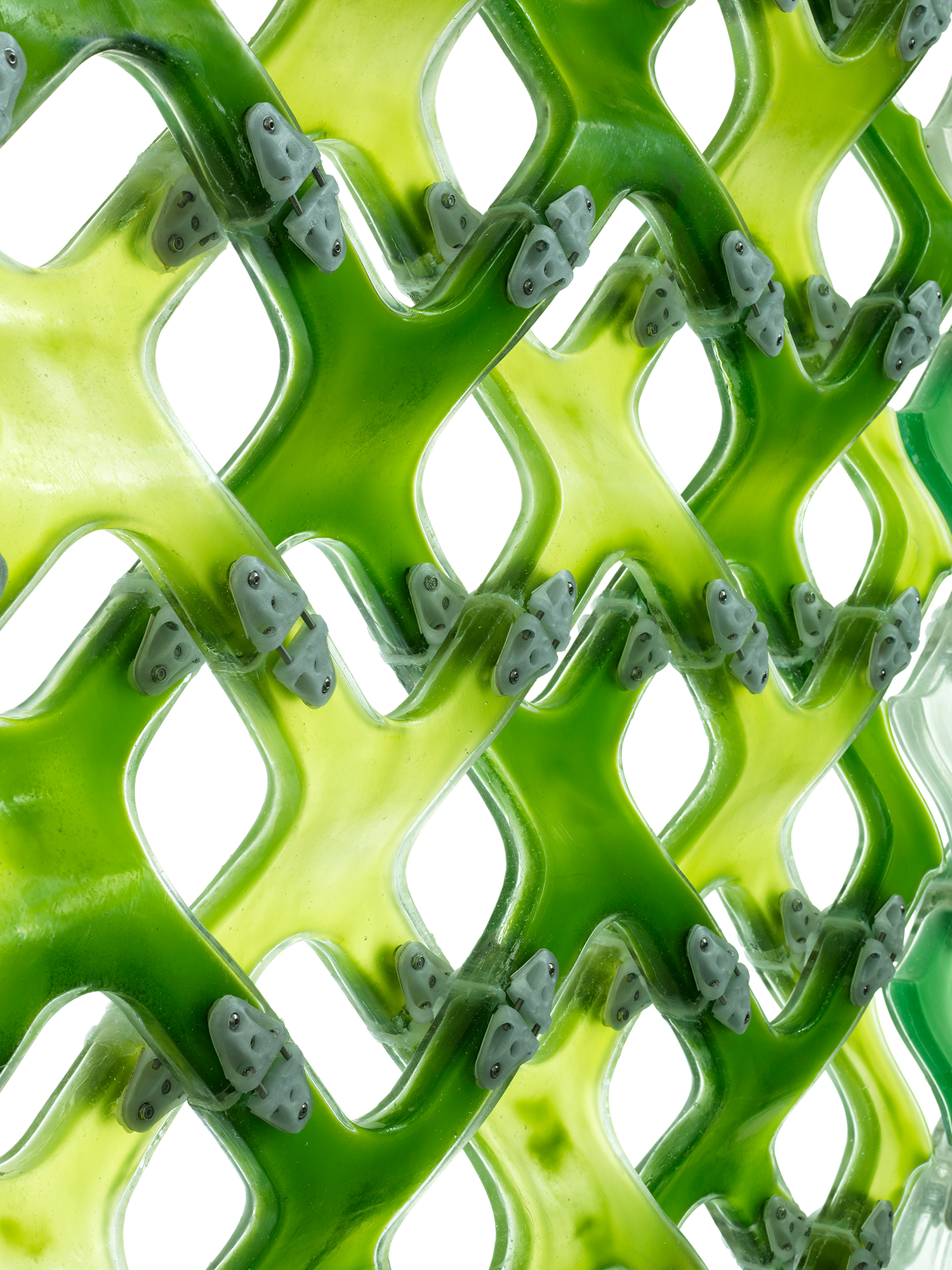 Award: Toward Carbon Neutrality—High-Performance Biochromic Window