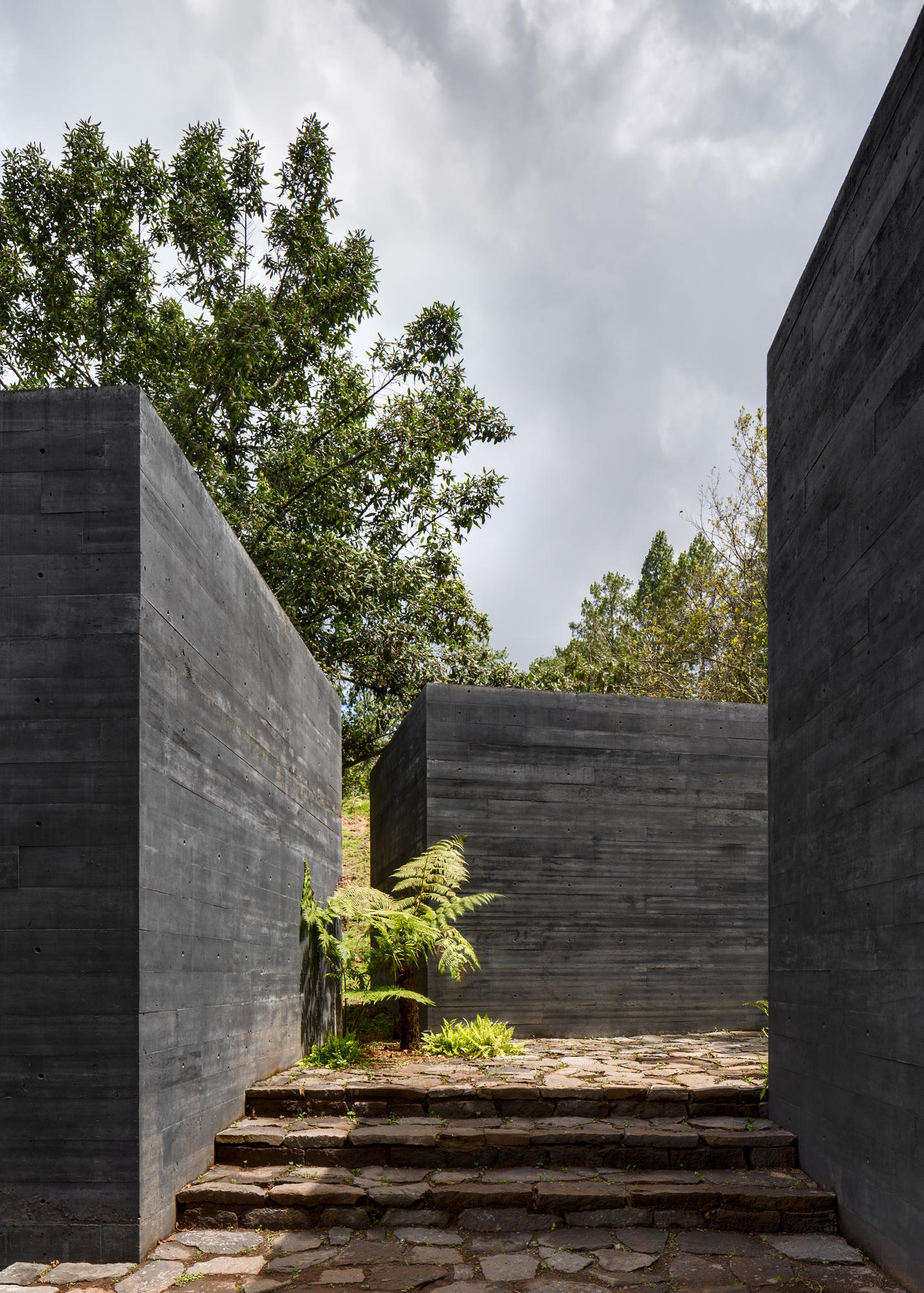 Bruma House - Architect Magazine