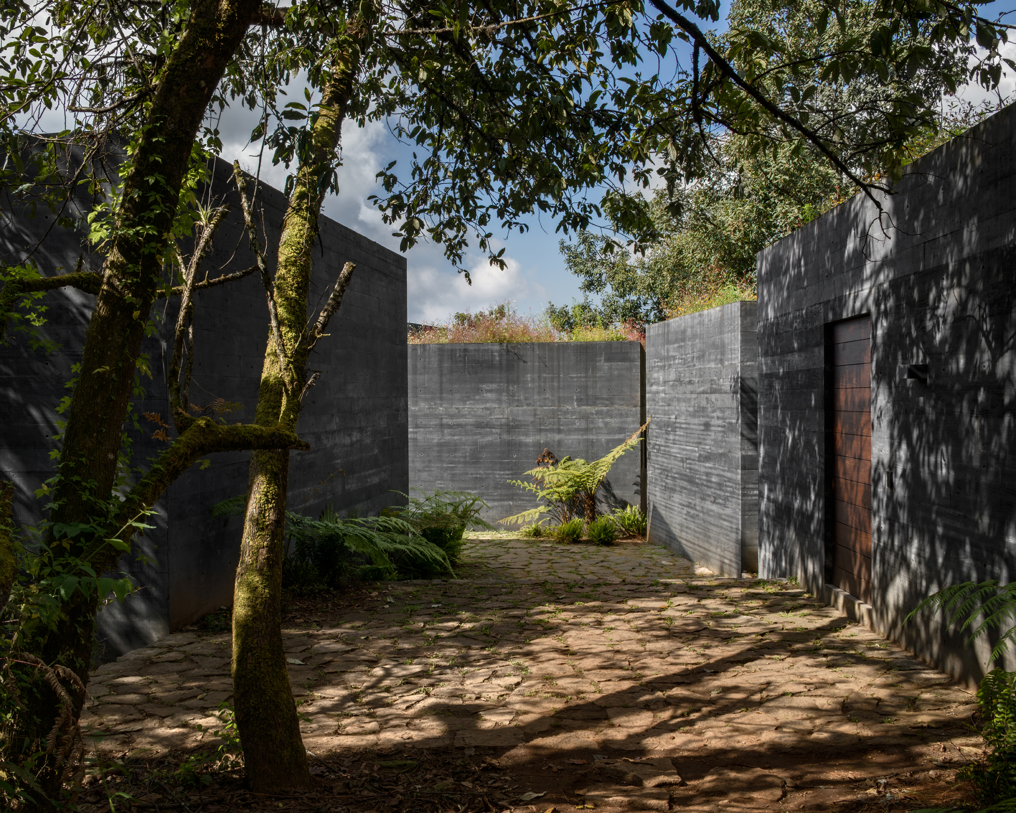 Bruma House - Architect Magazine