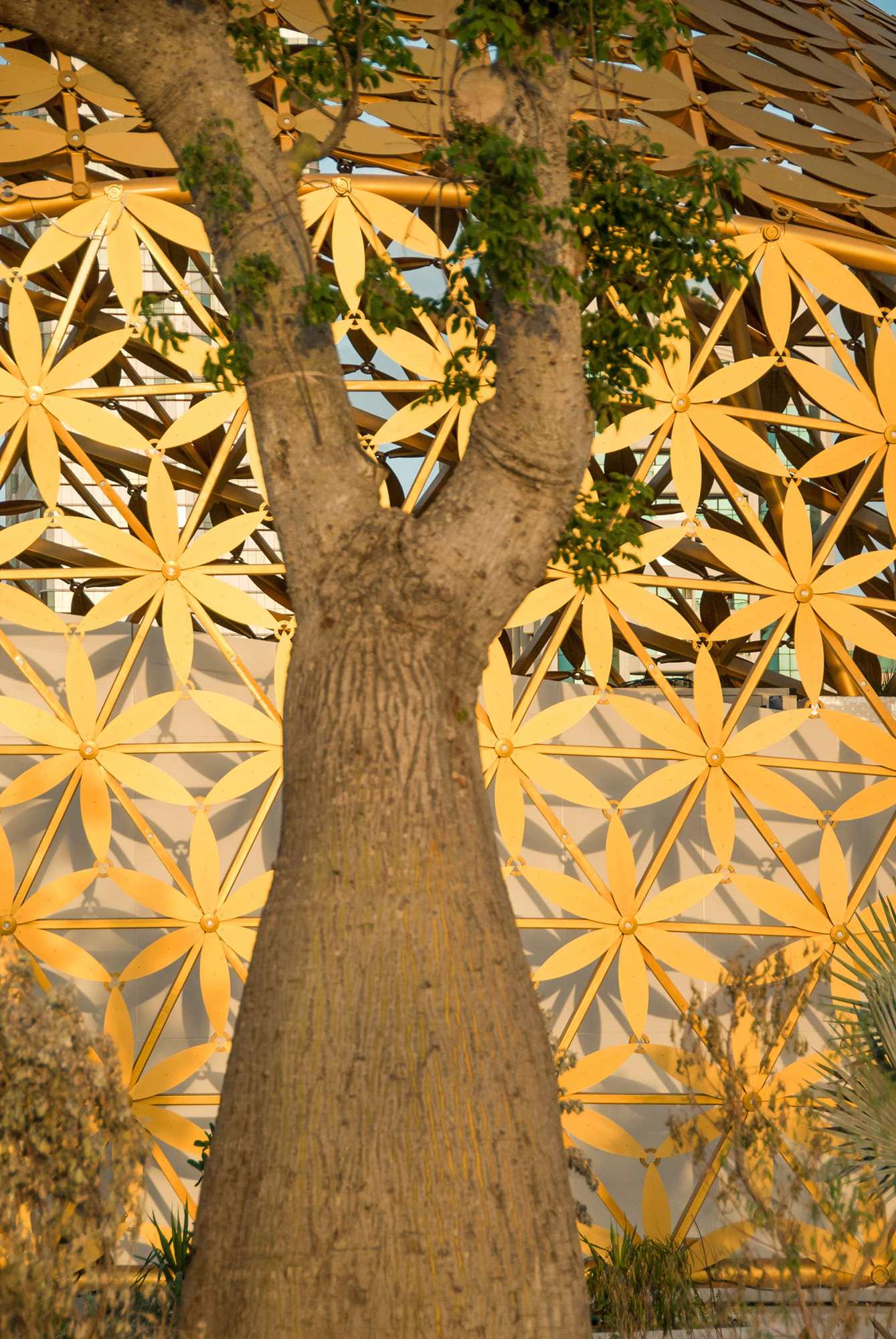 Butterfly Pavilion - Architect Magazine