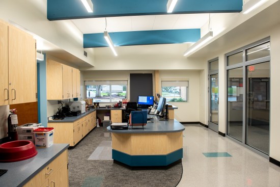 Candy Lane Elementary School - Architect Magazine