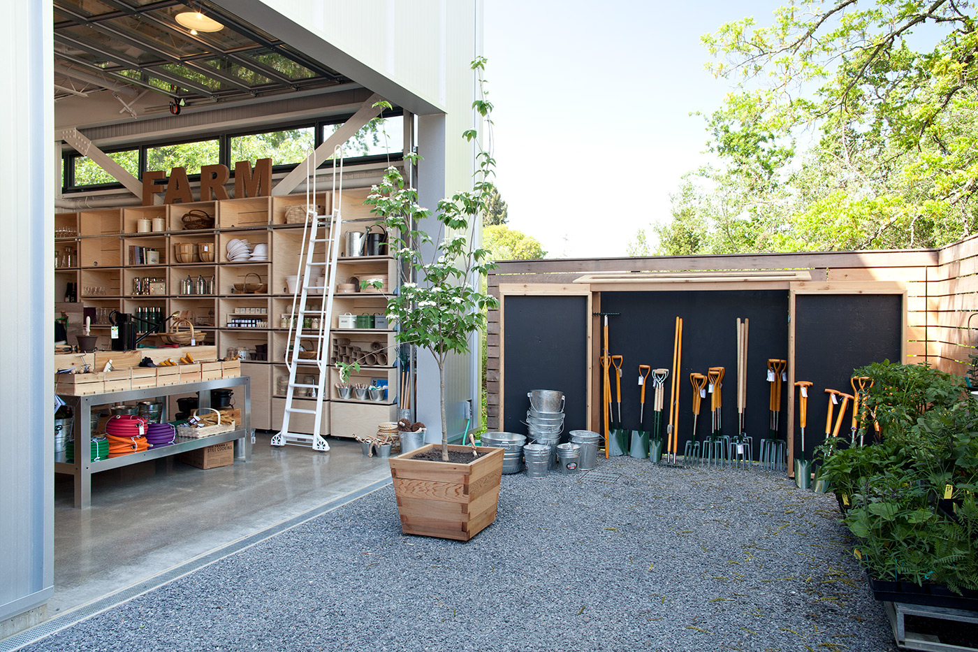 Shed Store and Cafe - Architect Magazine