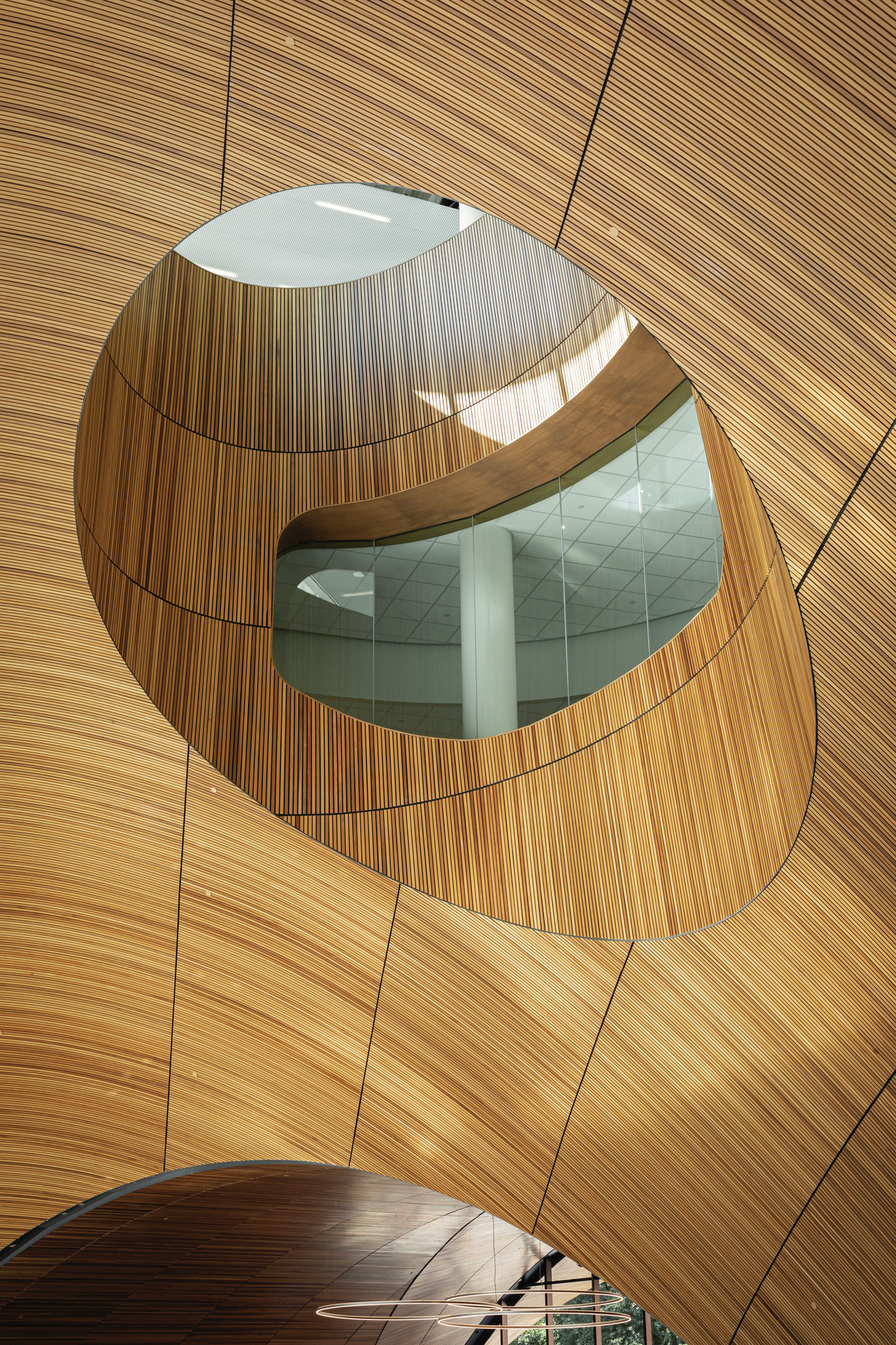 Charles Library - Architect Magazine