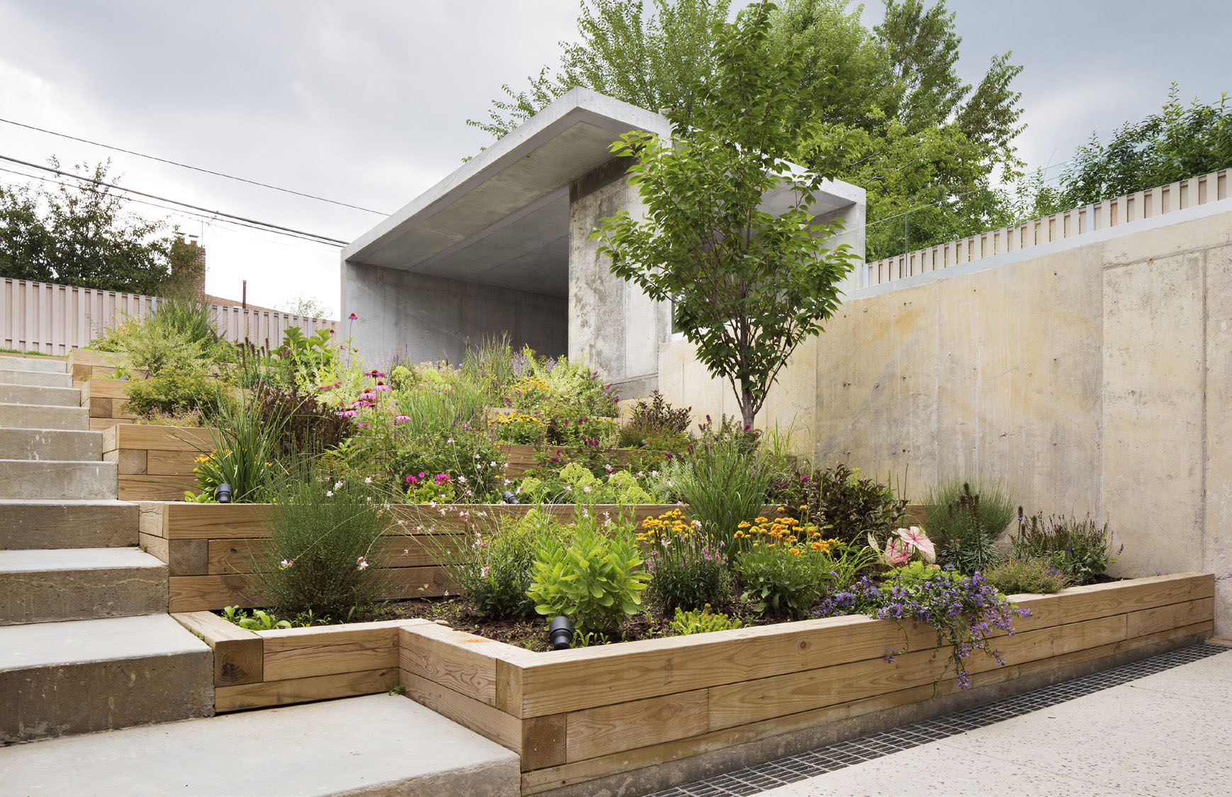 Choy House - Architect Magazine