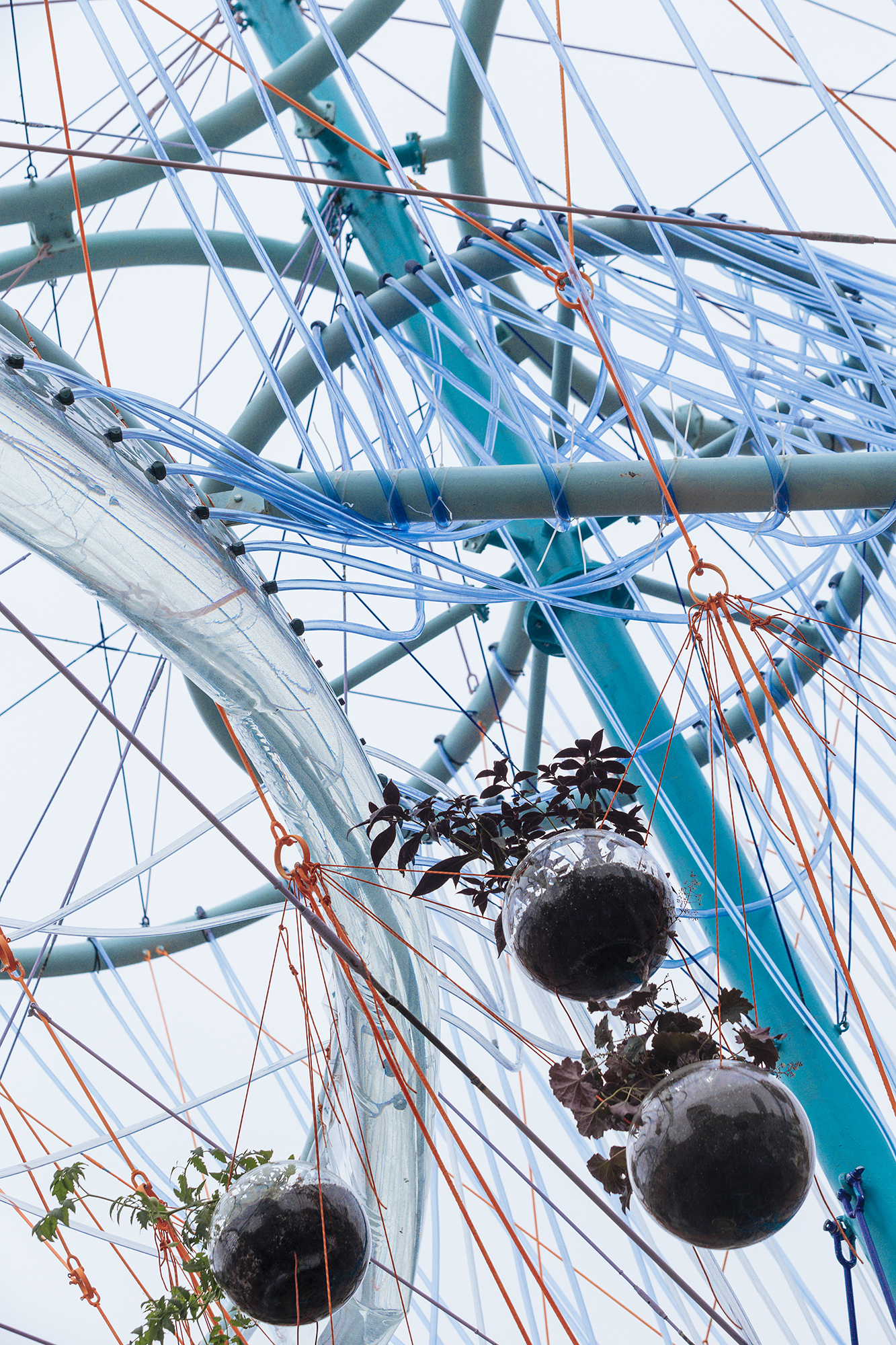 Andrés Jaque’s COSMO Opens at MoMA PS1