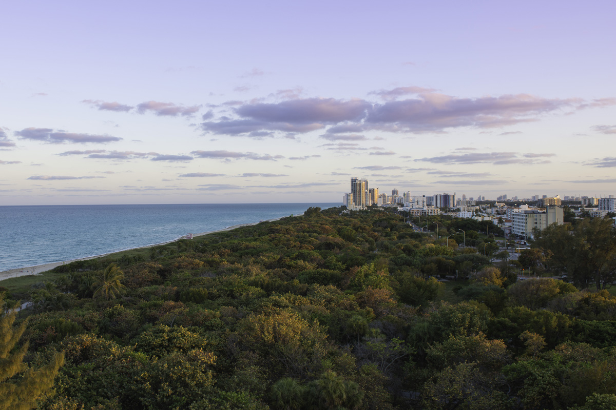 Eighty Seven Park - Architect Magazine