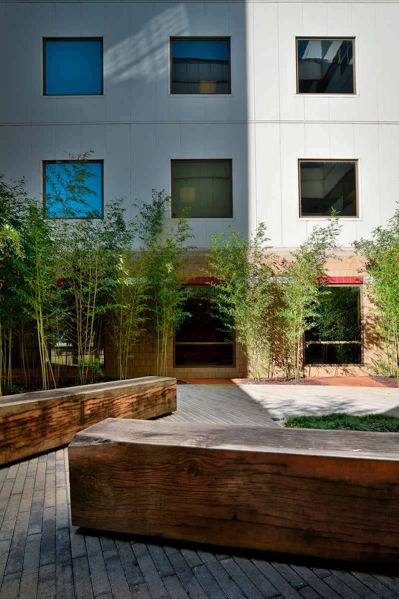 Regional One Medical Courtyard - Architect Magazine