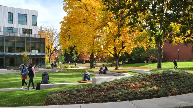 The Ellipse at Tykeson Hall - Architect Magazine