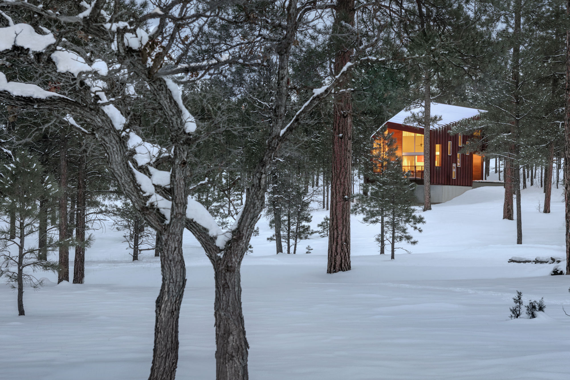 Starlight Cabin - Architect Magazine