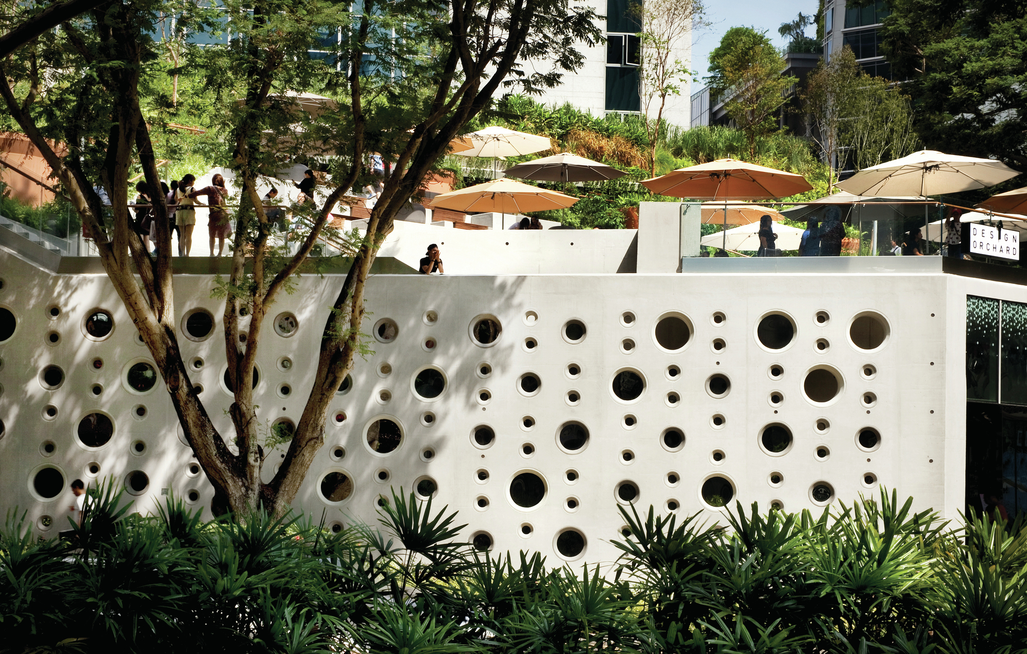 Design Orchard - Architect Magazine