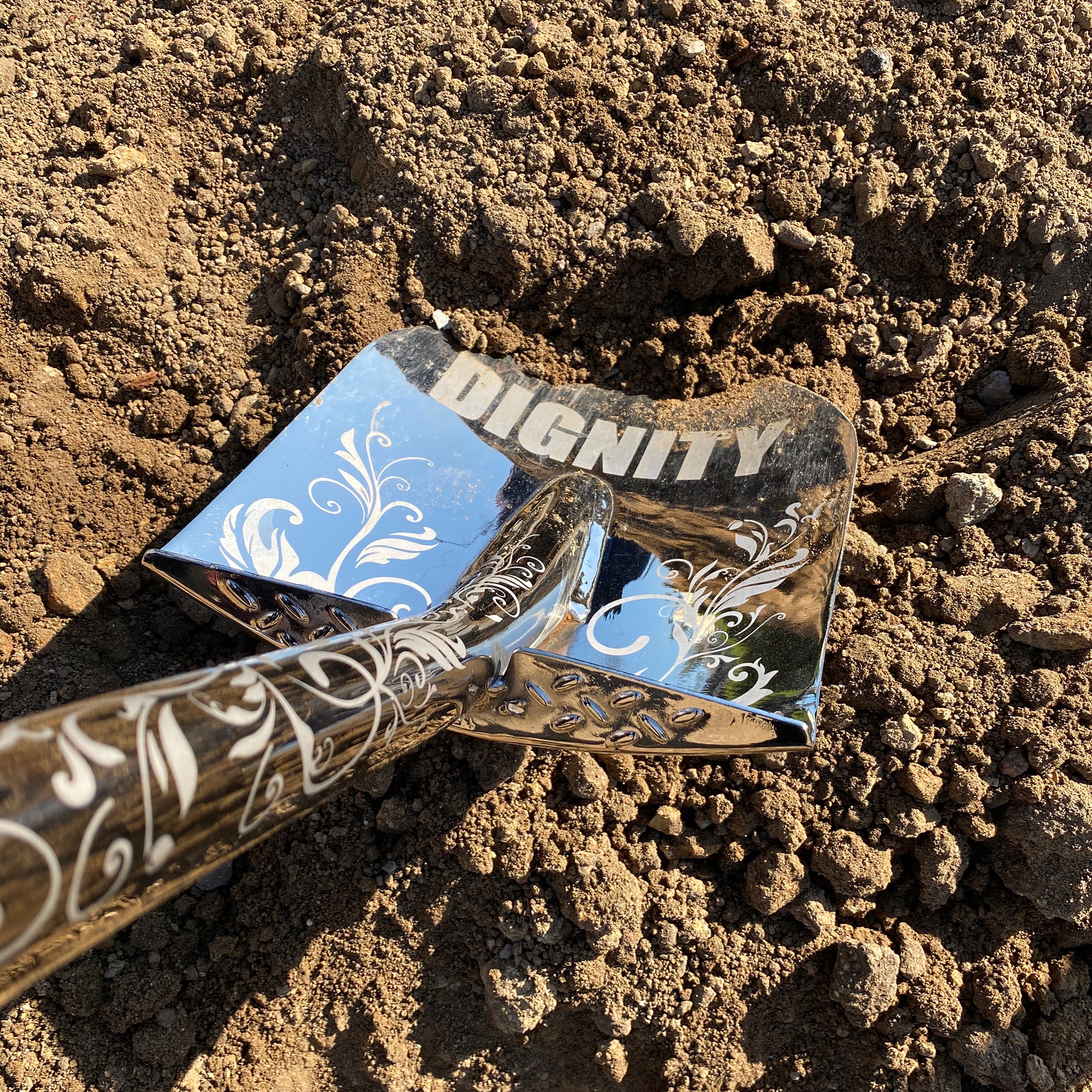 Destination Crenshaw - Architect Magazine