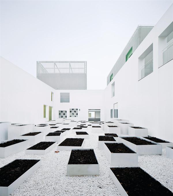 Youth Center Of Qingpu - Architect Magazine