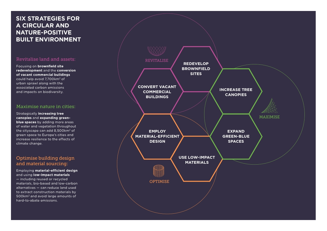 Building a Greener Tomorrow: Six Transformative Strategies for a Nature ...