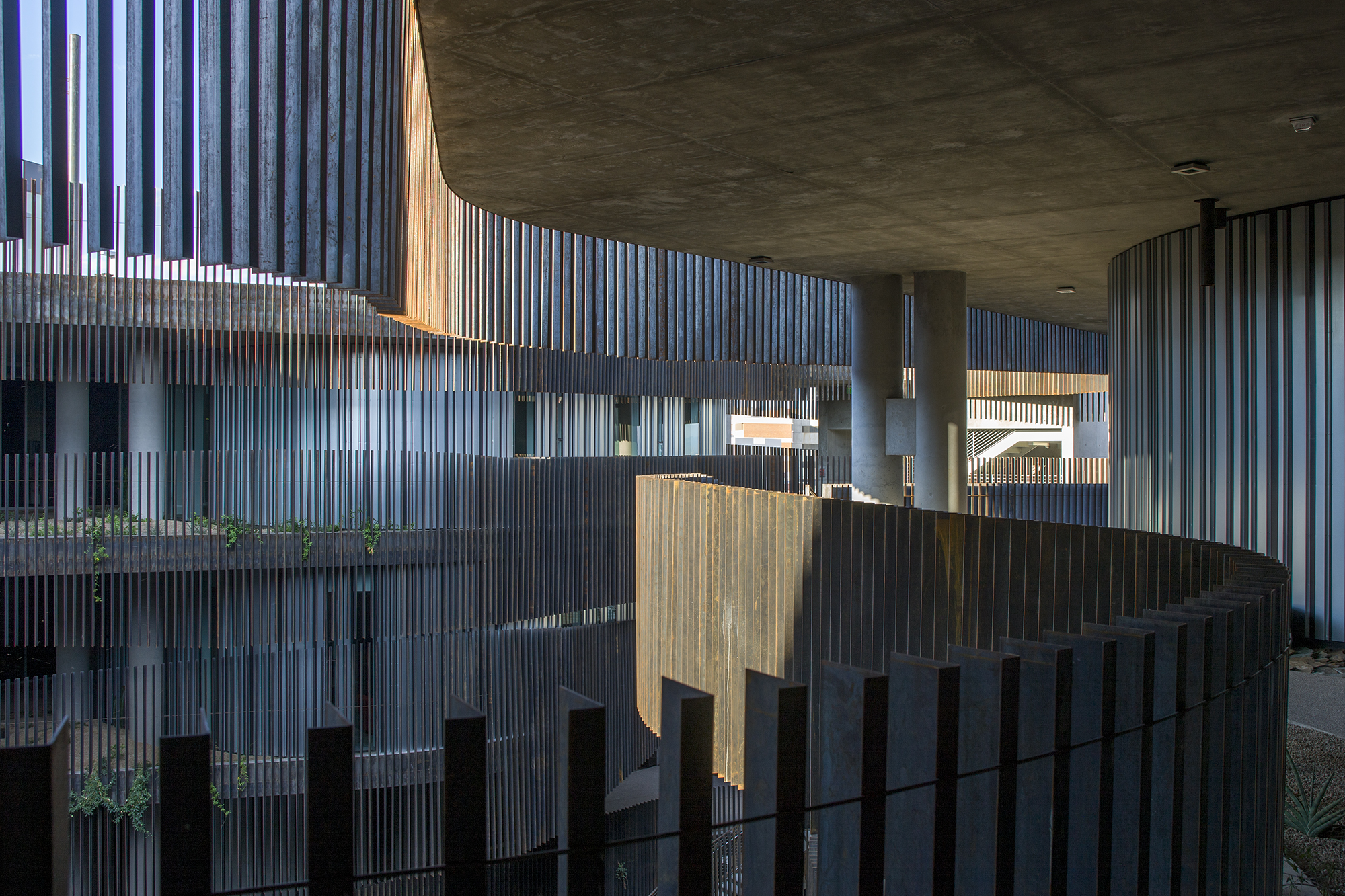 Environment + Natural Resources Building II - Architect Magazine