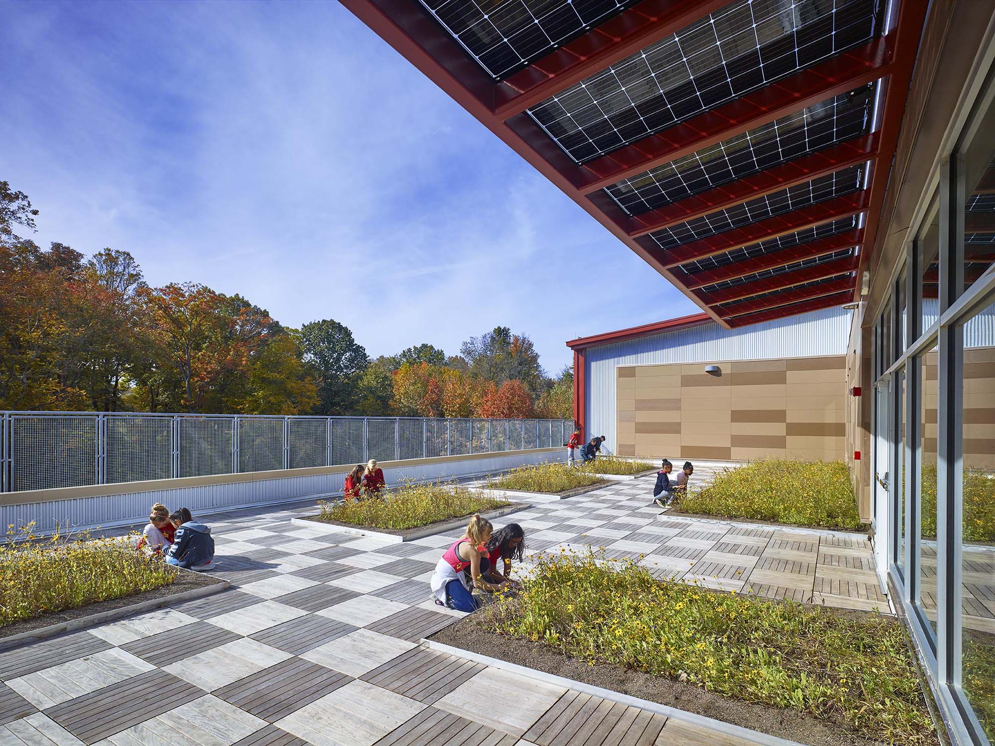 Honeygo Elementary School - Architect Magazine