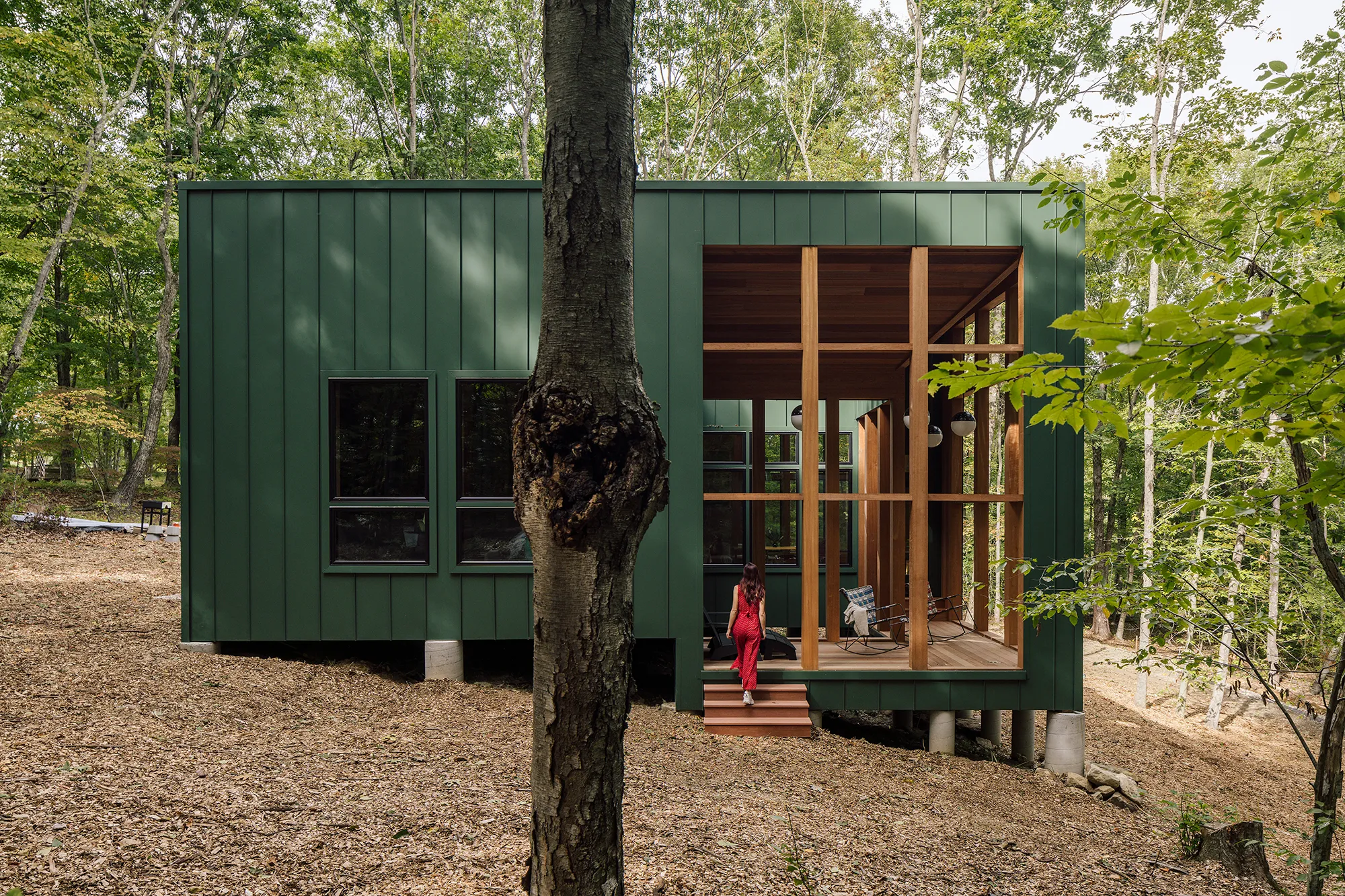 Forest Retreat - Architect Magazine