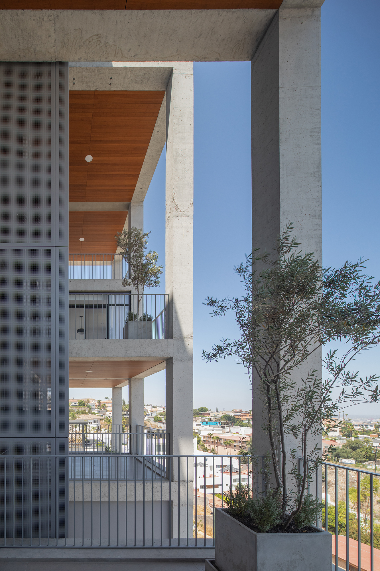 Frame - Architect Magazine