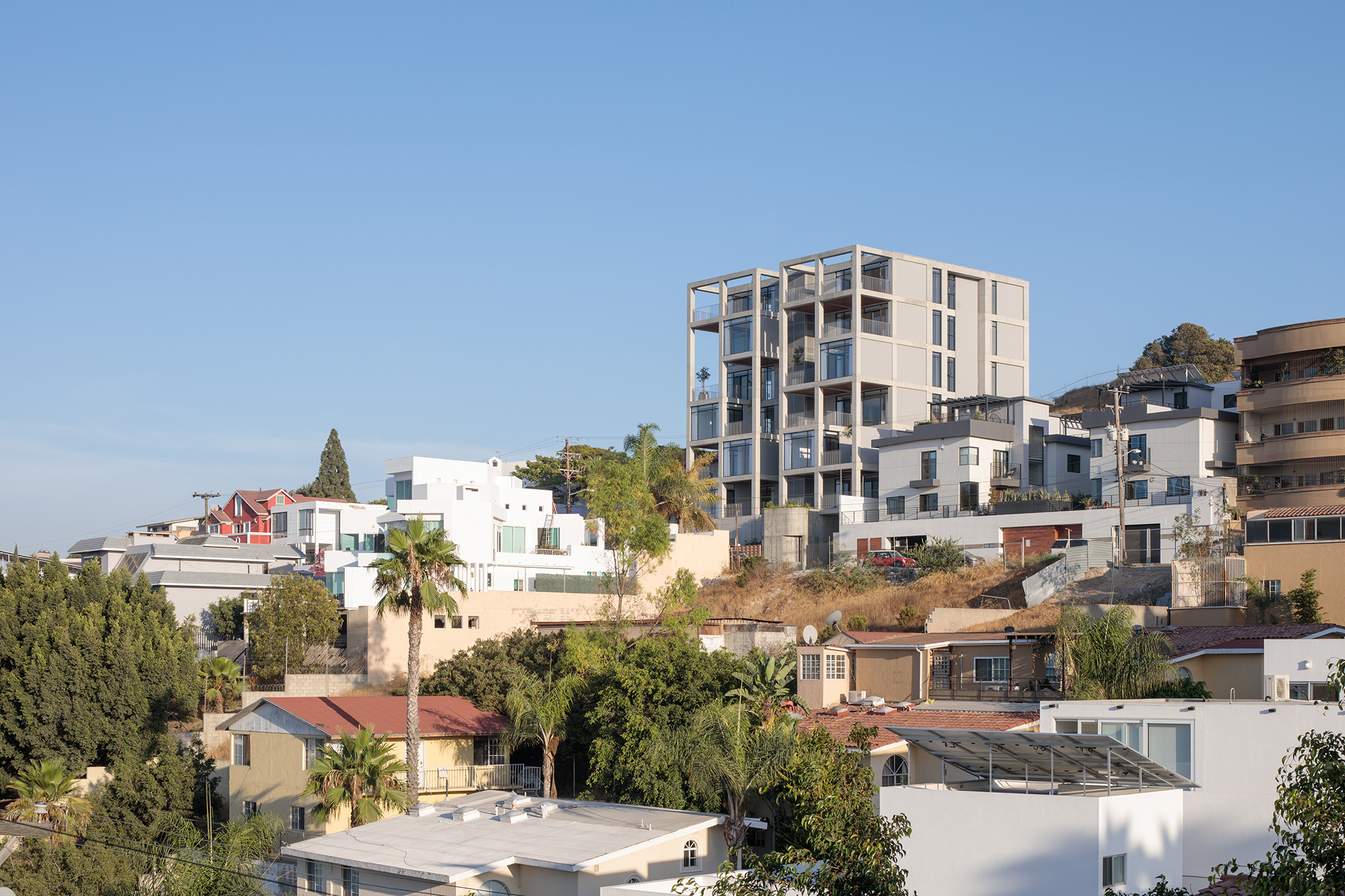 Frame - Architect Magazine