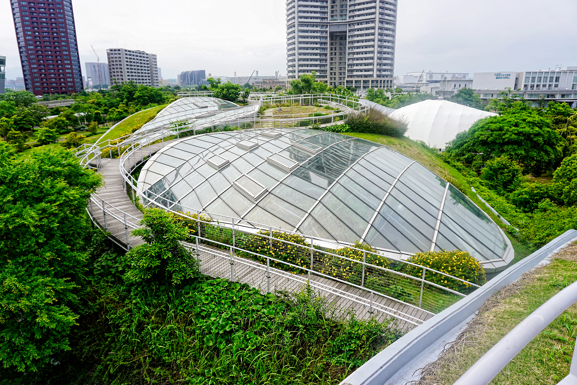 Japanese Projects that Blur the Line Between Building and Landscape