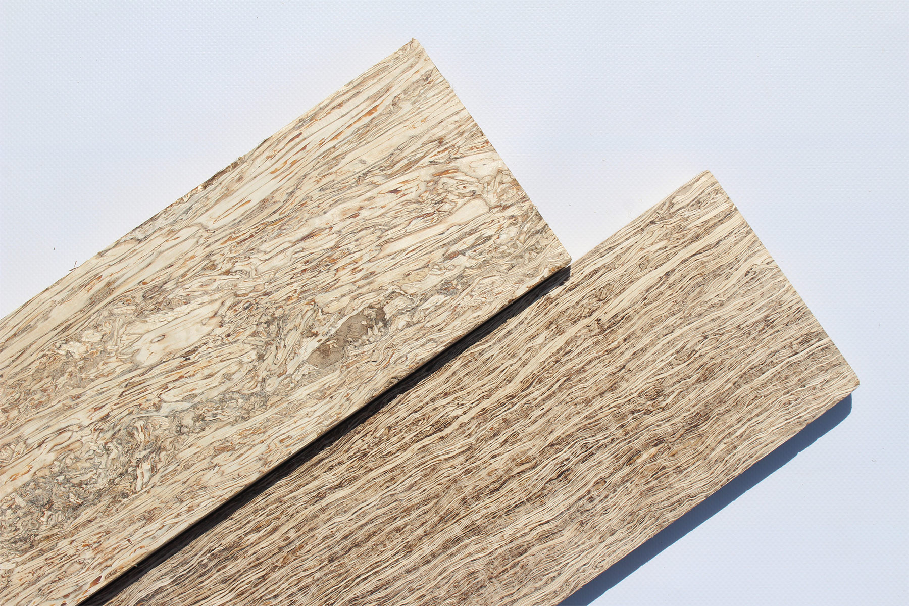 Hemp: The Next Disruptor in Construction After Wood?