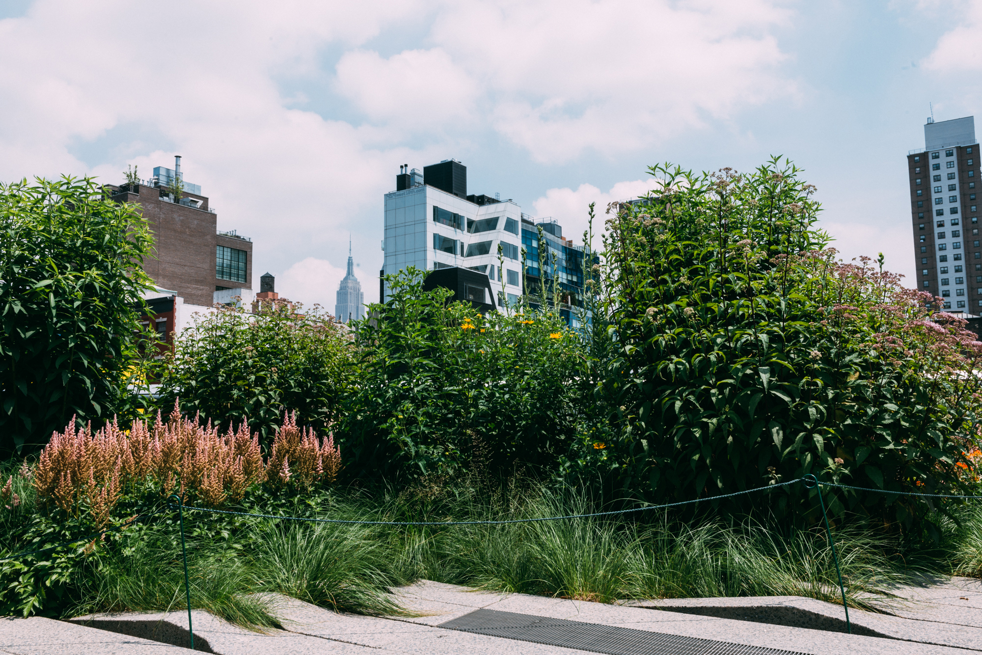 The High Line at 10