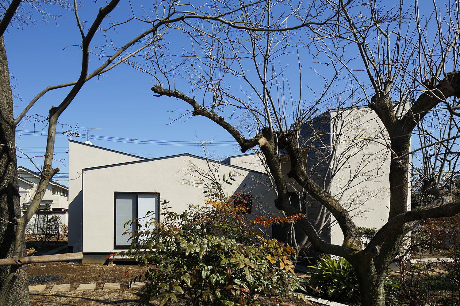 Hopscotch House - Architect Magazine