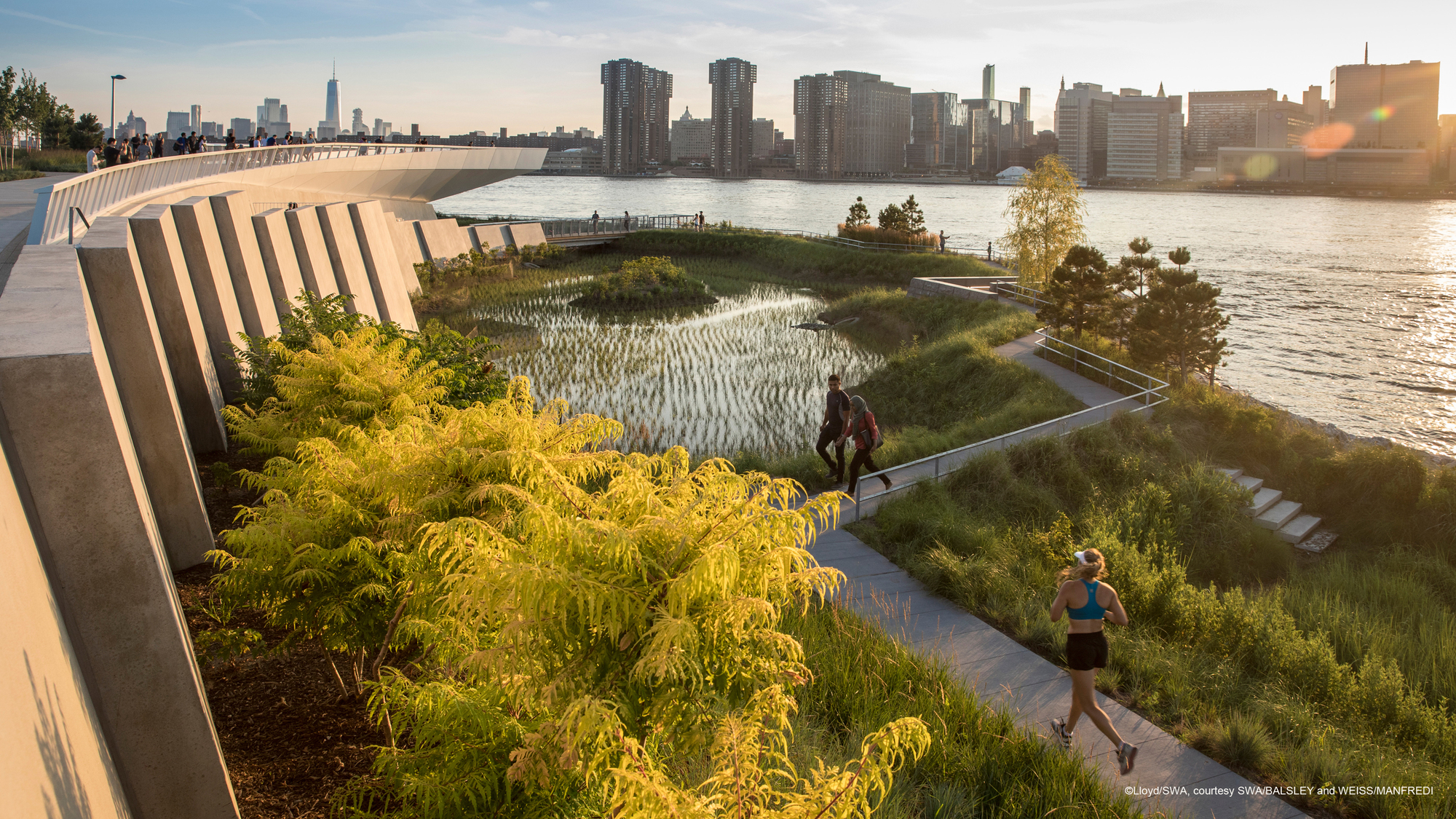 Hunter's Point South Waterfront Park - Architect Magazine